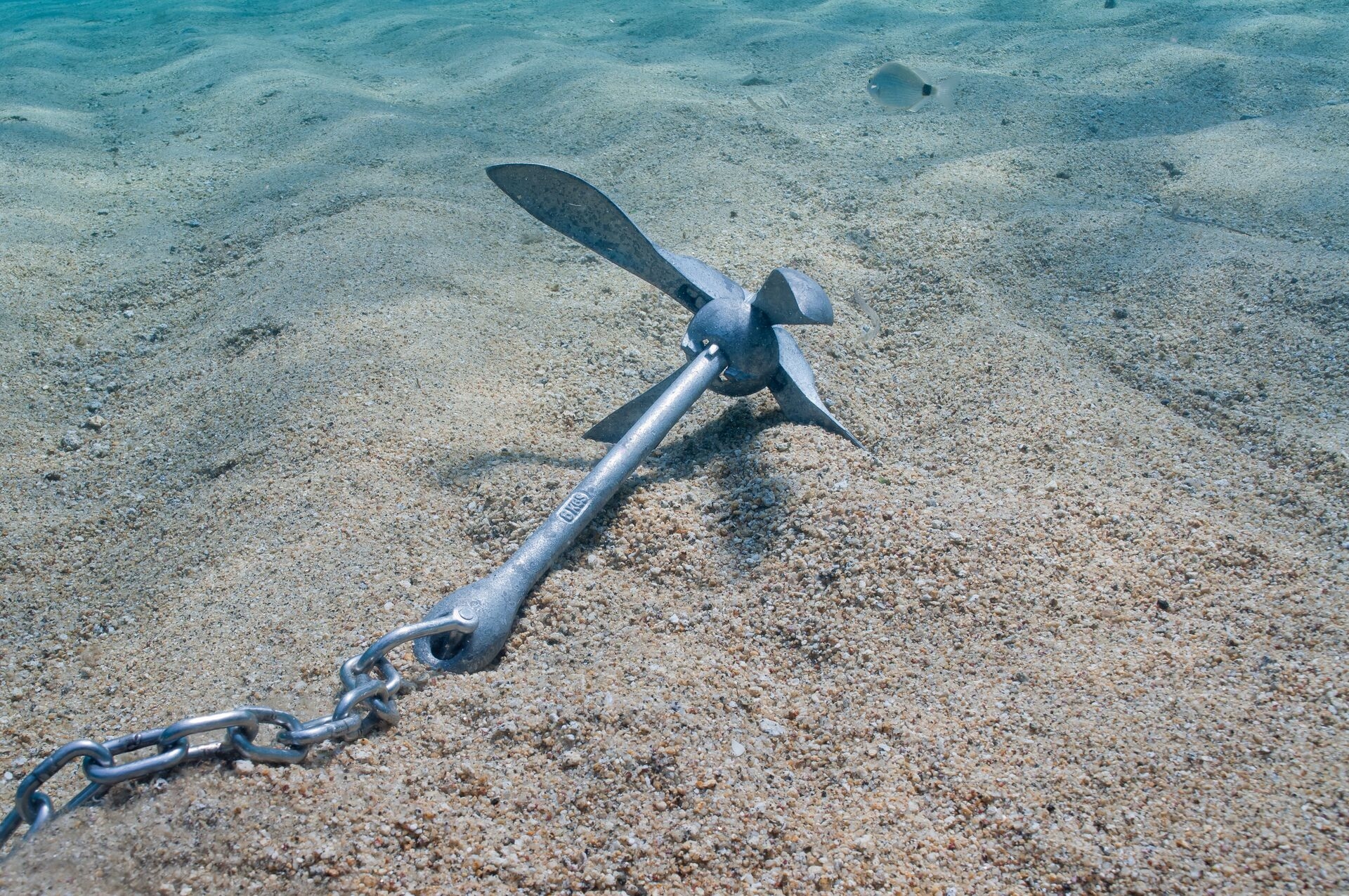 What Is a Boat Anchor and How Does It Work? | Boat Ed®